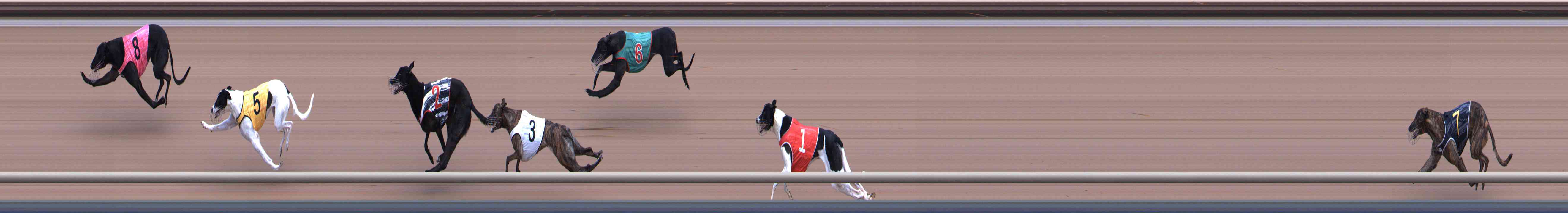 Healesville 23/02/2025