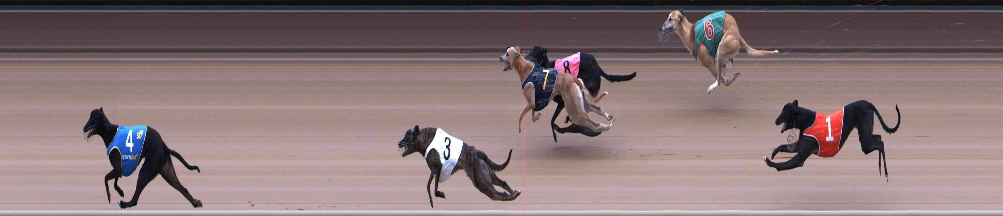 Healesville 24/03/2025