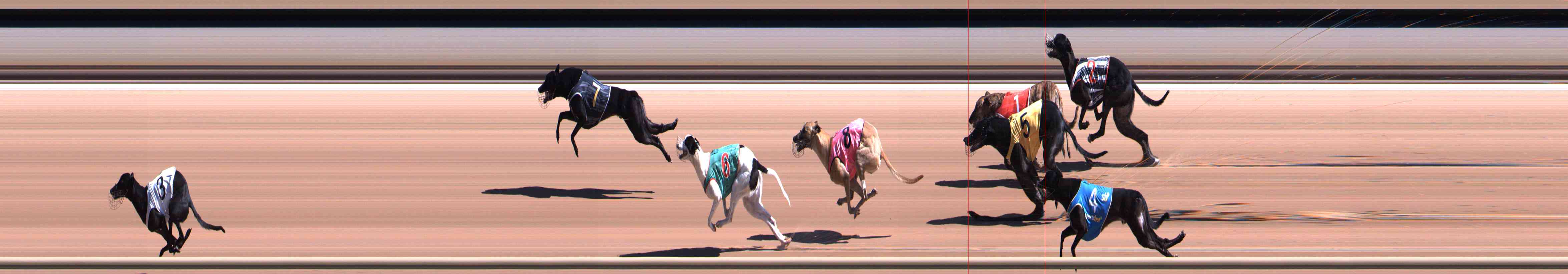 Healesville 05/09/2025