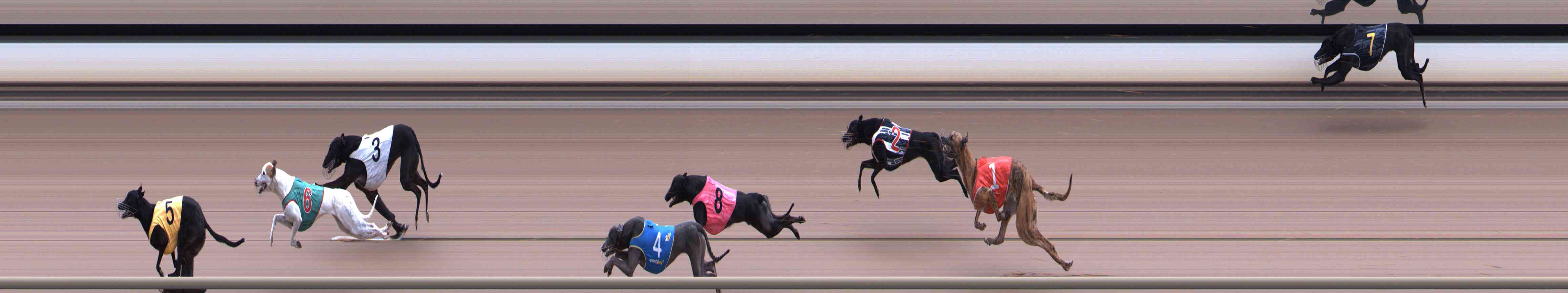 Healesville 12/09/2025