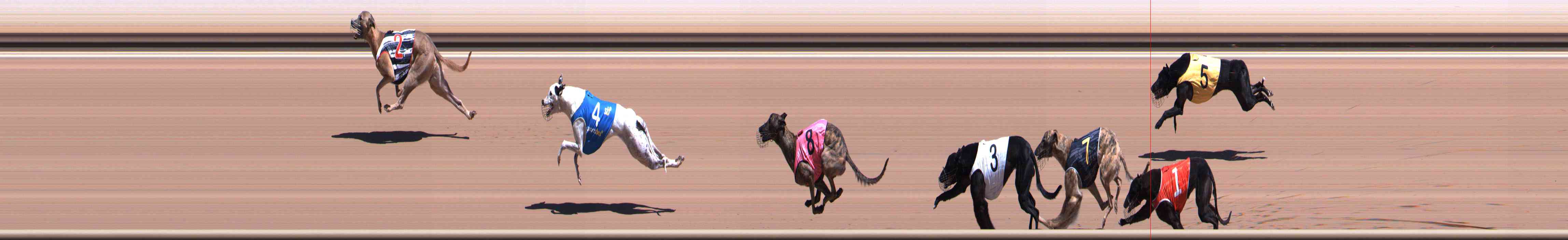 Healesville 12/12/2025