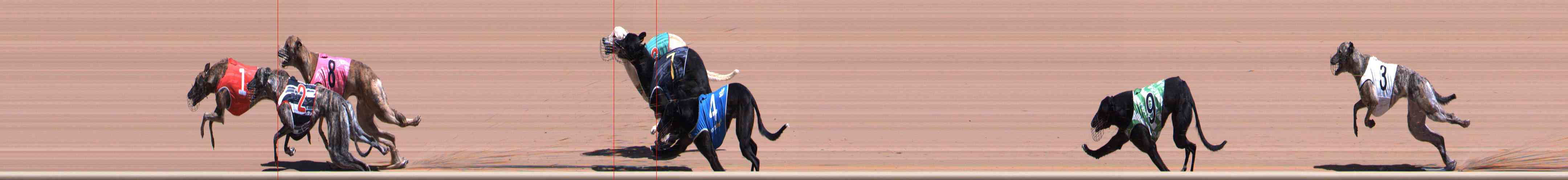 Healesville 12/12/2025