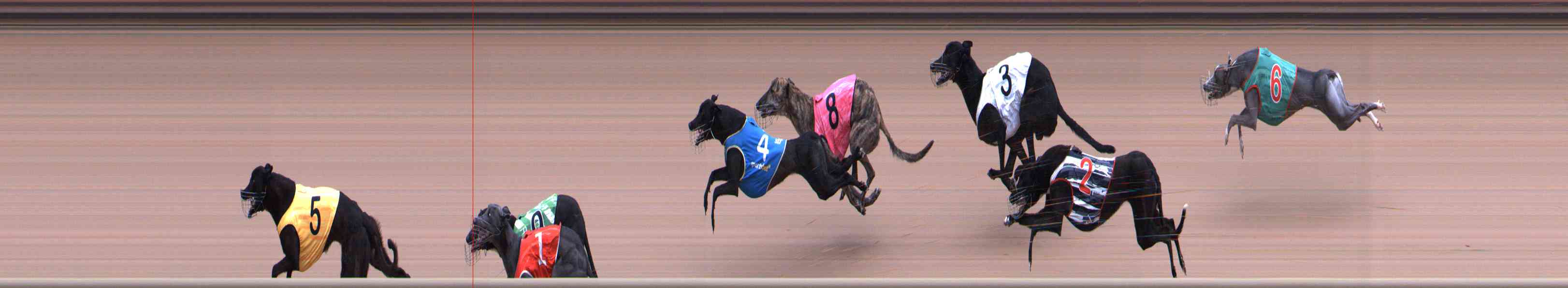 Healesville 14/12/2025