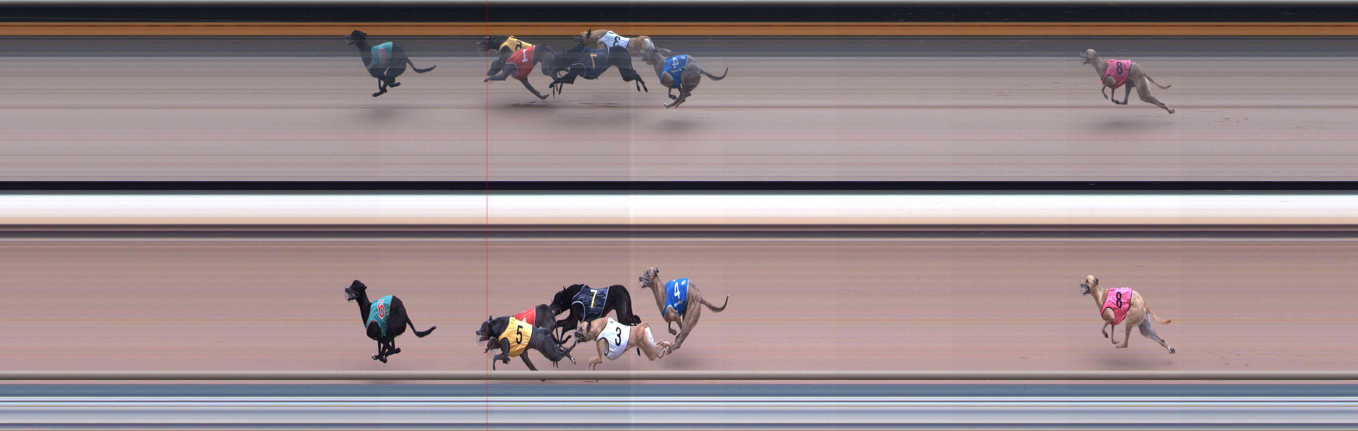 Healesville 26/12/2025