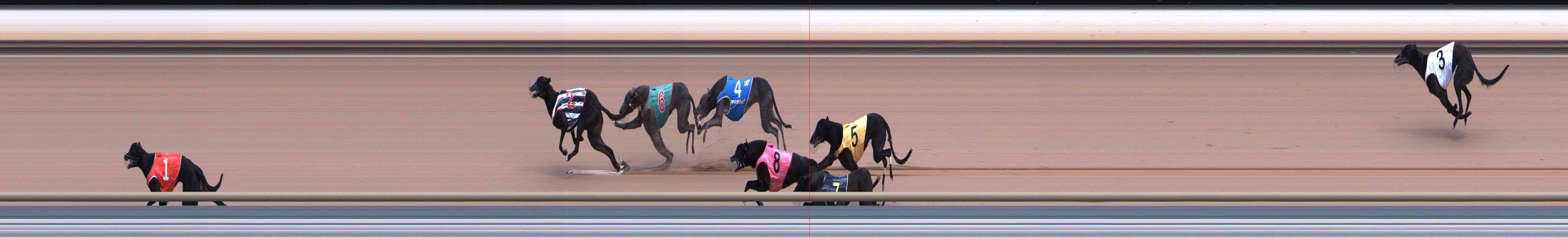 Healesville 26/12/2025