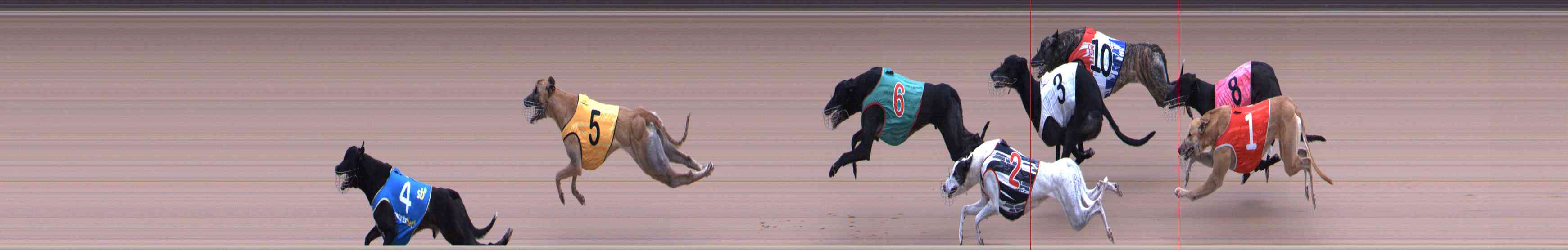 Healesville 26/12/2025