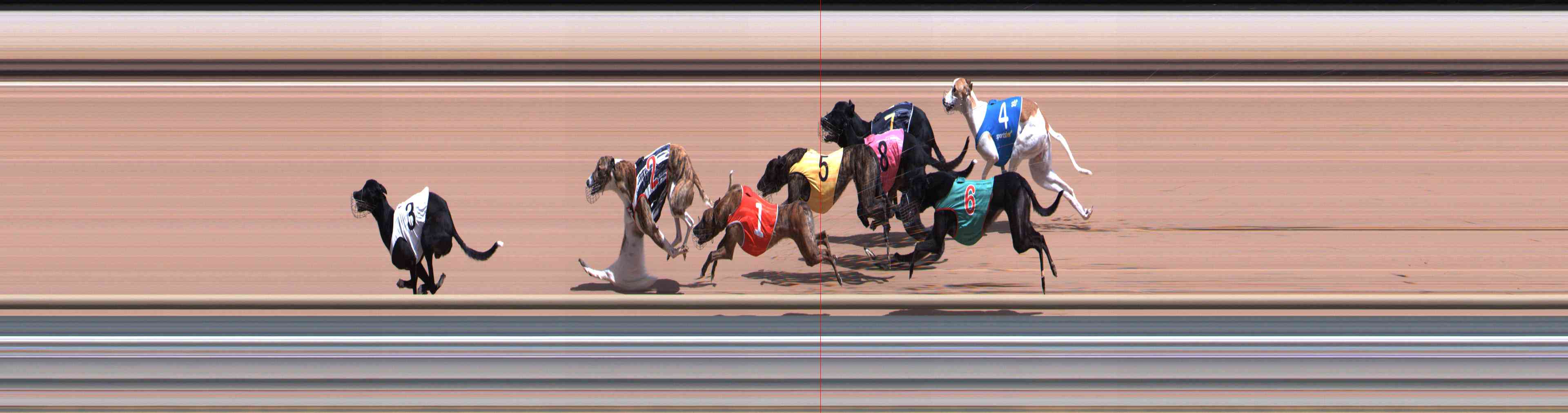 Healesville 26/12/2025