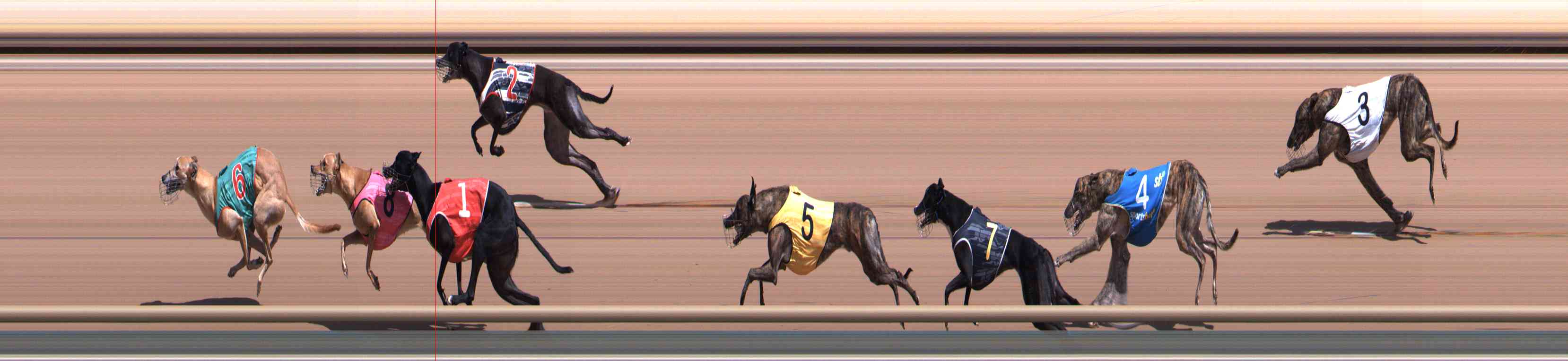Healesville 30/01/2026