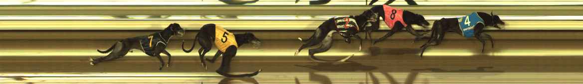 Meadows (MEP) 02/07/2025