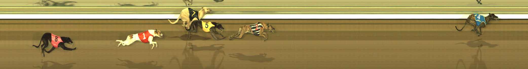 Meadows (MEP) 03/09/2025