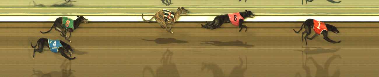 Meadows (MEP) 17/09/2025