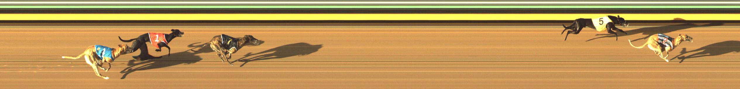 Sandown (SAP) 29/12/2025