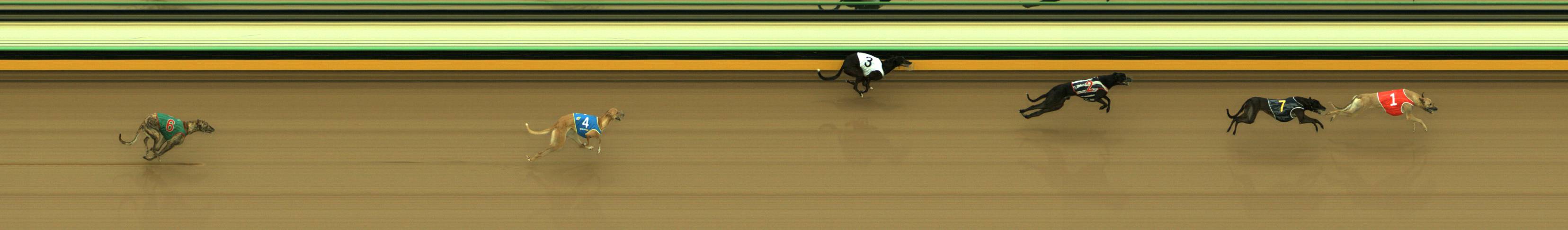 Sandown Park 29/11/2025