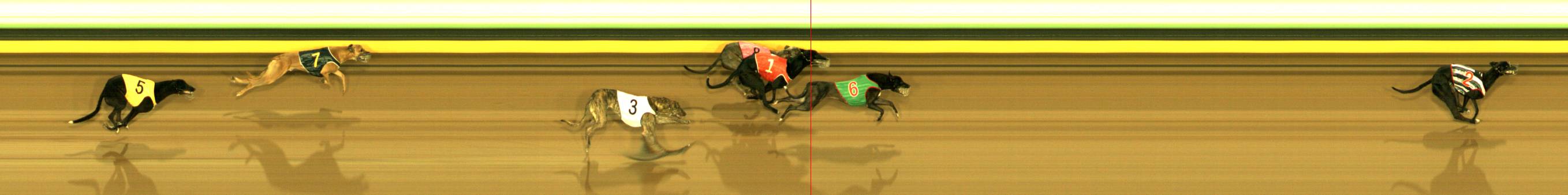 Sandown Park 28/05/2026