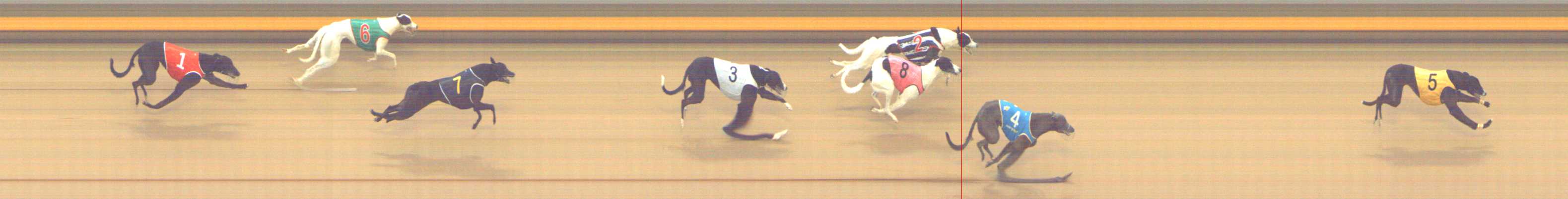 Shepparton 07/10/2024