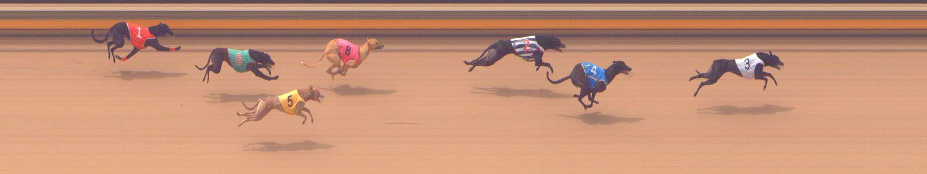 Shepparton 23/11/2024