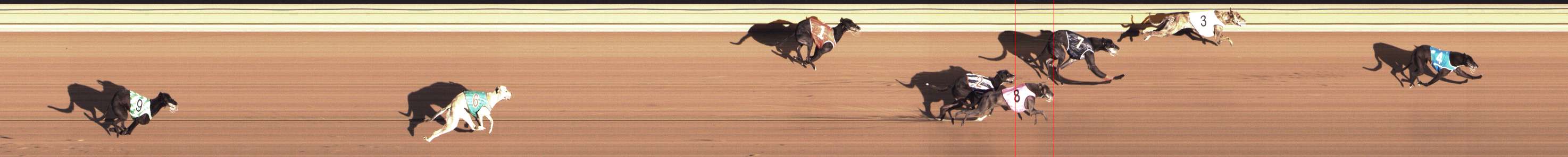 Shepparton 21/12/2024