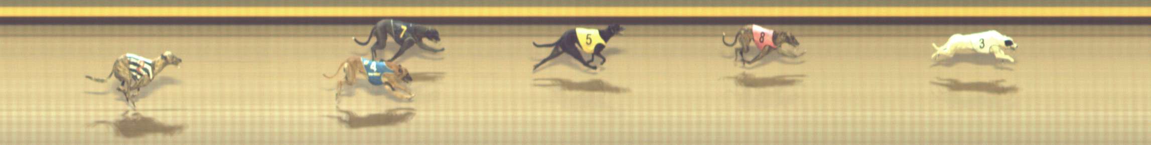 Shepparton 25/04/2025