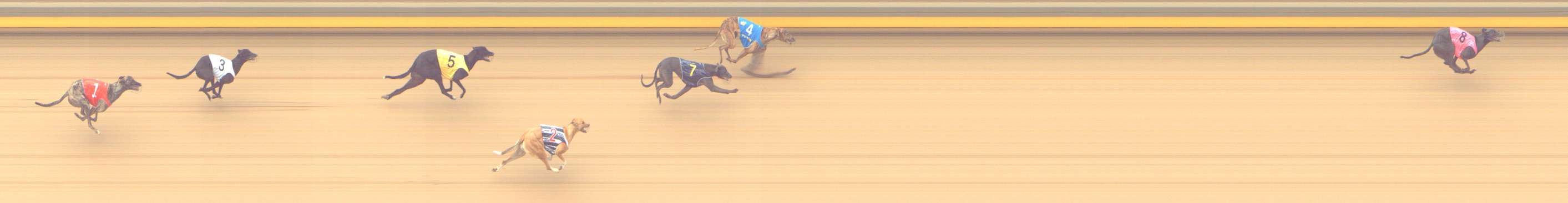 Shepparton 12/06/2025