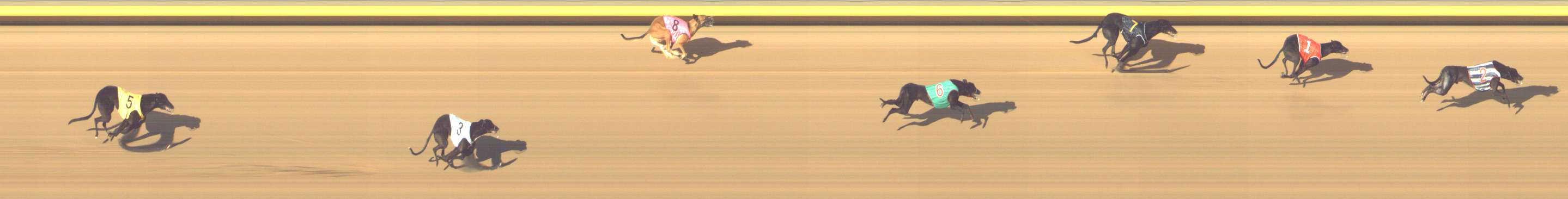 Shepparton 18/08/2025