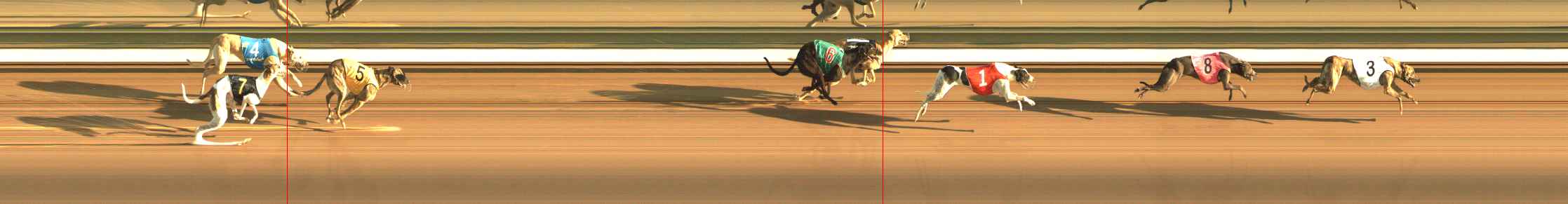 The Meadows 20/12/2025