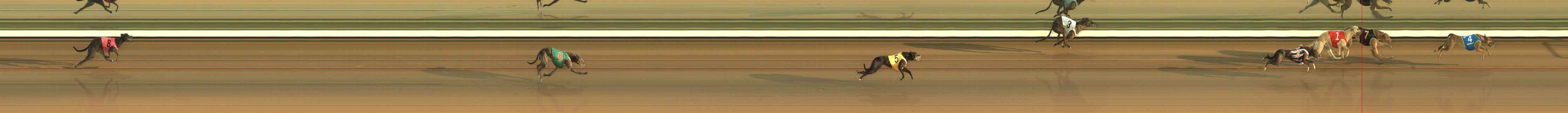 The Meadows 20/12/2025