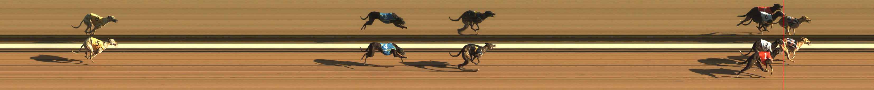 The Meadows 27/12/2025