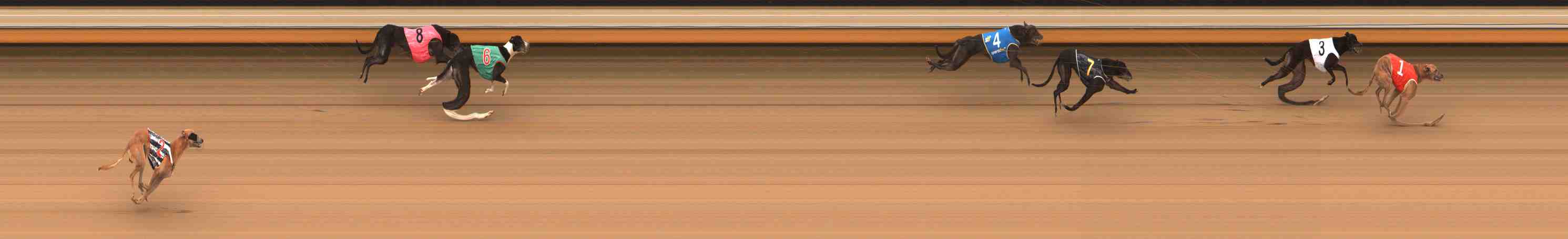 Warrnambool 27/01/2025